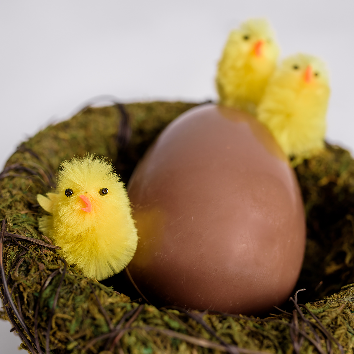 Town of Truro Partners With Peace by Chocolate For Annual Easter Egg H